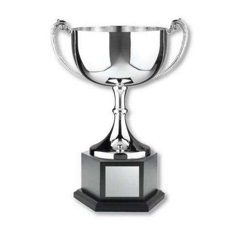 Archives des TROPHÉES - TROPHÉES GRAVURES EXPERT | TGE